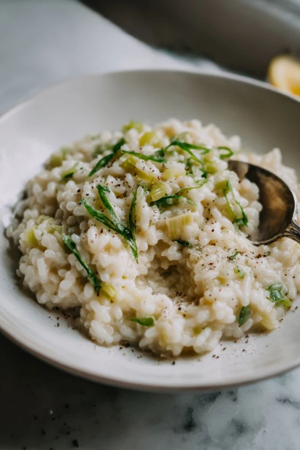 Low FODMAP Risotto Recipe - Low Fodmap Diet Recipes
